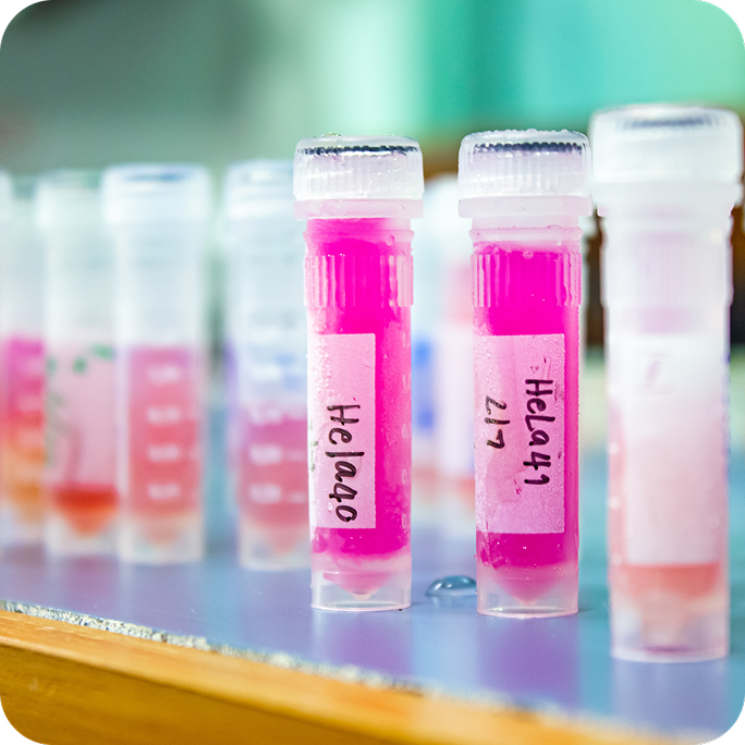 Pharma Cold Chain Visibility & Compliance Solutions - System Loco